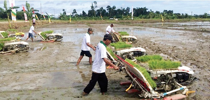 Terapkan Digitalisasi Pertanian, Kementan Untungkan Petani dan Konsumen